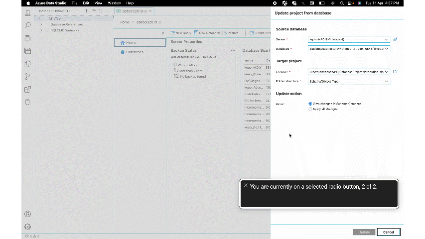 A11y Sqldatabase Projects Extension View And More Action Update Project From Database Voiceover