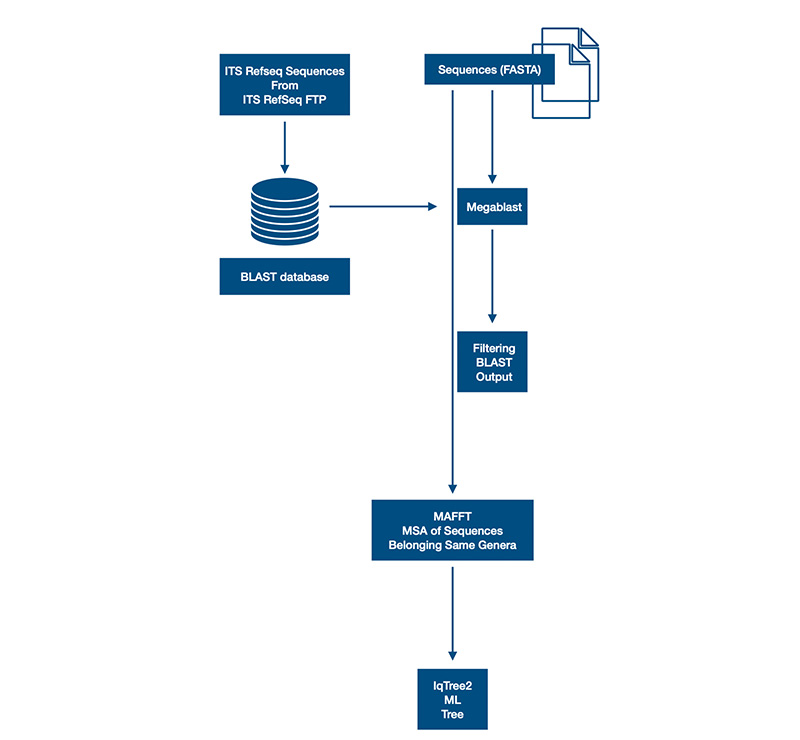 Github Osmanmerdan Fungal Its Sequence Analysis Bioinformatic Scripts