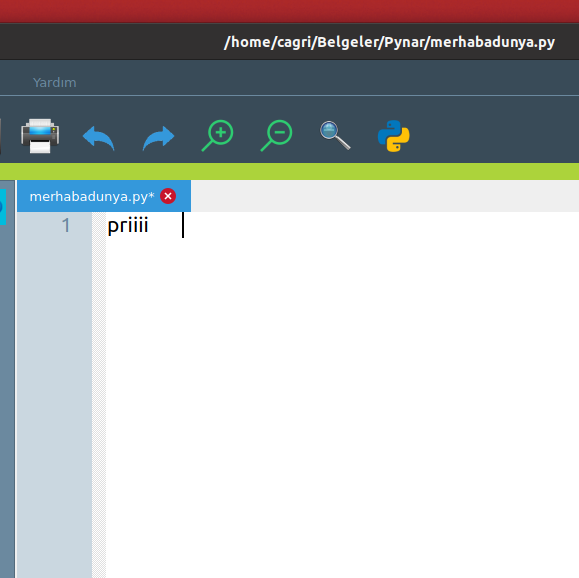 Hata: · Issue #27 · ttbilgin/PyNar_Hata_Raporlama · GitHub
