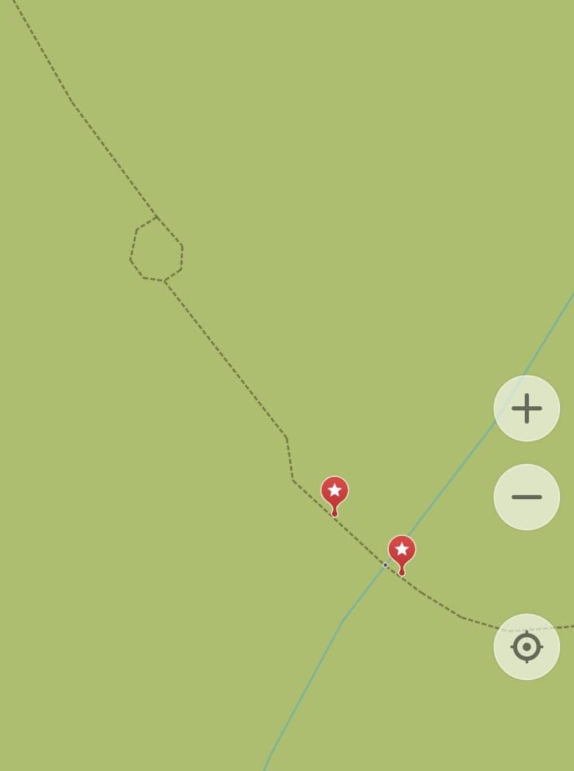 Track vs path · Issue #1359 · organicmaps/organicmaps · GitHub