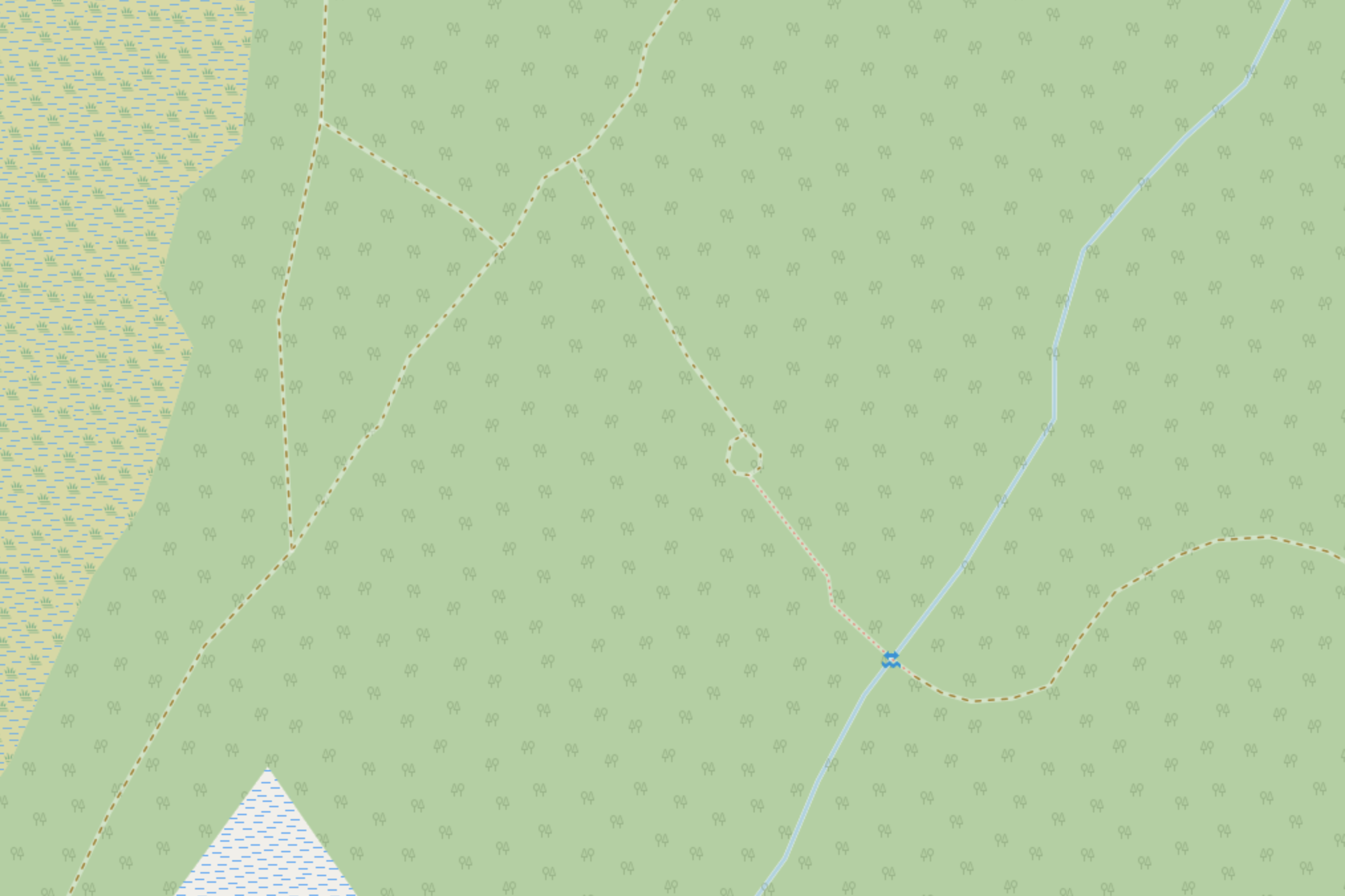 Track vs path · Issue #1359 · organicmaps/organicmaps · GitHub