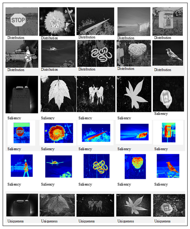 GitHub - ALIMDYOUSUF/CMFB-and-FSF