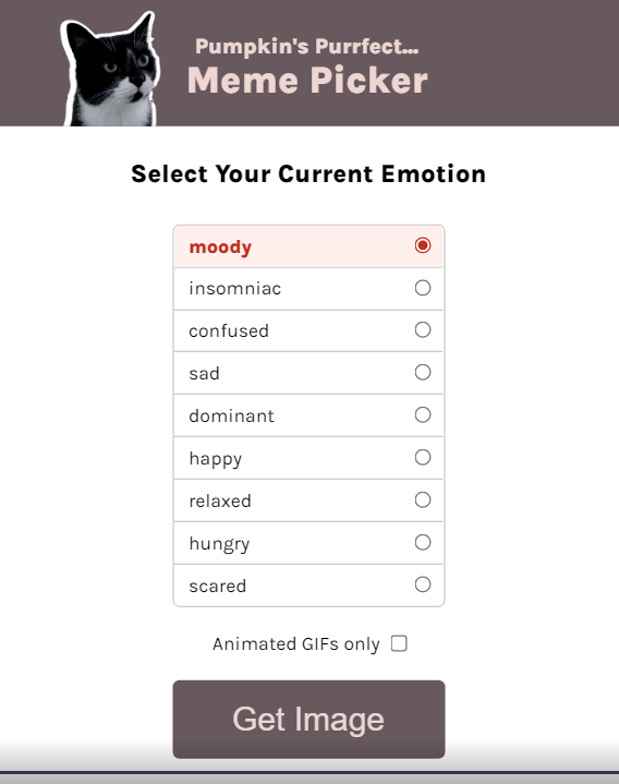 GitHub - NoahCrown/Pumpkin-Purfect-Meme-Picker: A meme generator that ...