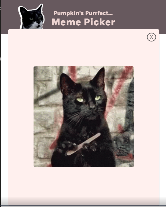 GitHub - NoahCrown/Pumpkin-Purfect-Meme-Picker: A meme generator that ...