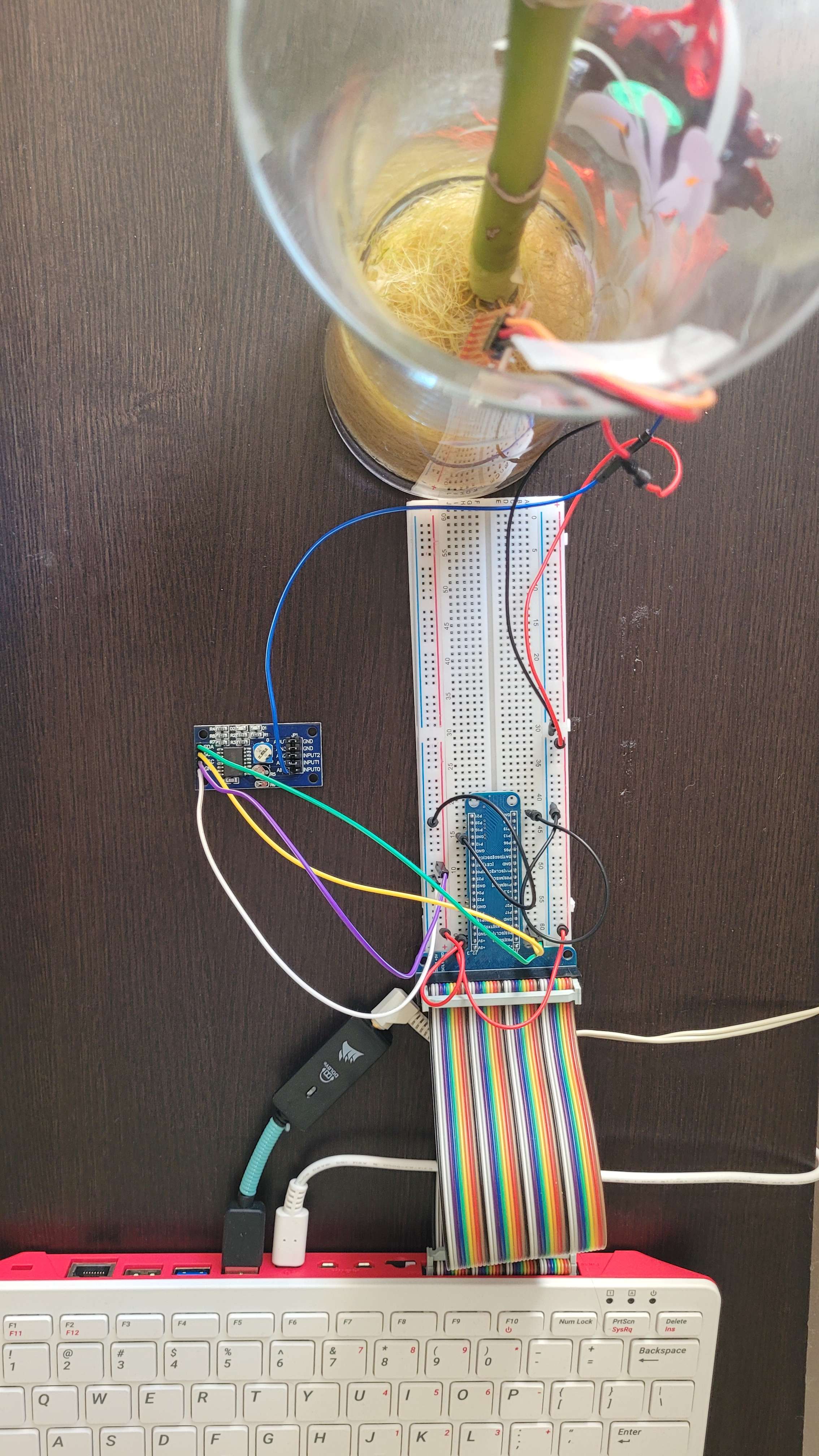 GitHub - NotNeelPatel/lucki-bamboo-ai: AI-powered Bamboo plant that ...