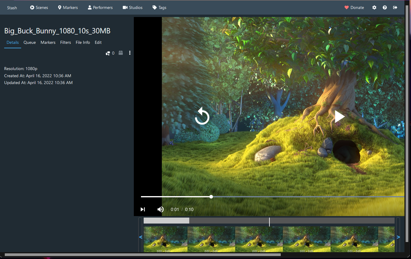 [Bug Report] New video.js player does not scale properly in Firefox. · Issue #2513 · stashapp ...