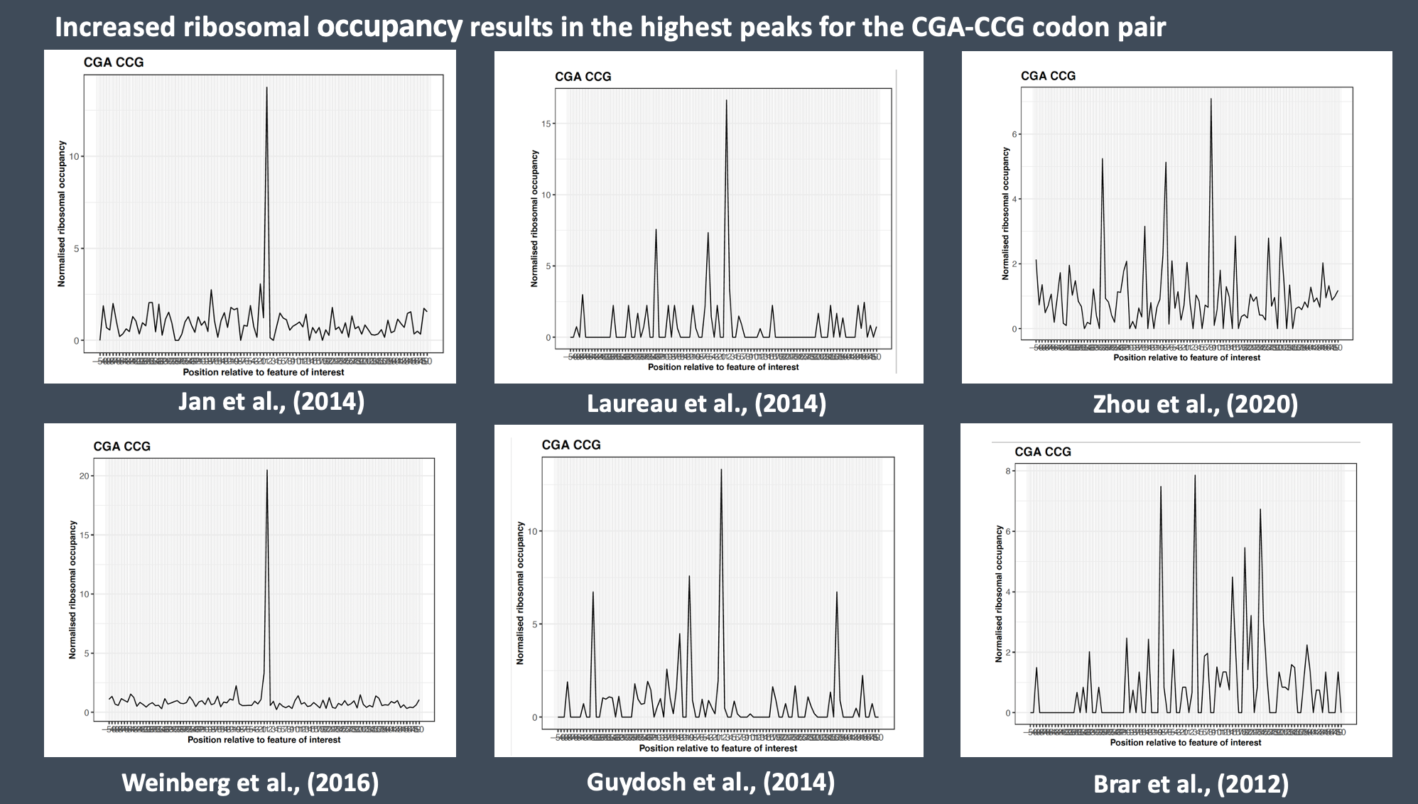 Analysing Inhibitory Codon Pairs (ICP) for new species · Issue #468 · riboviz/riboviz · GitHub