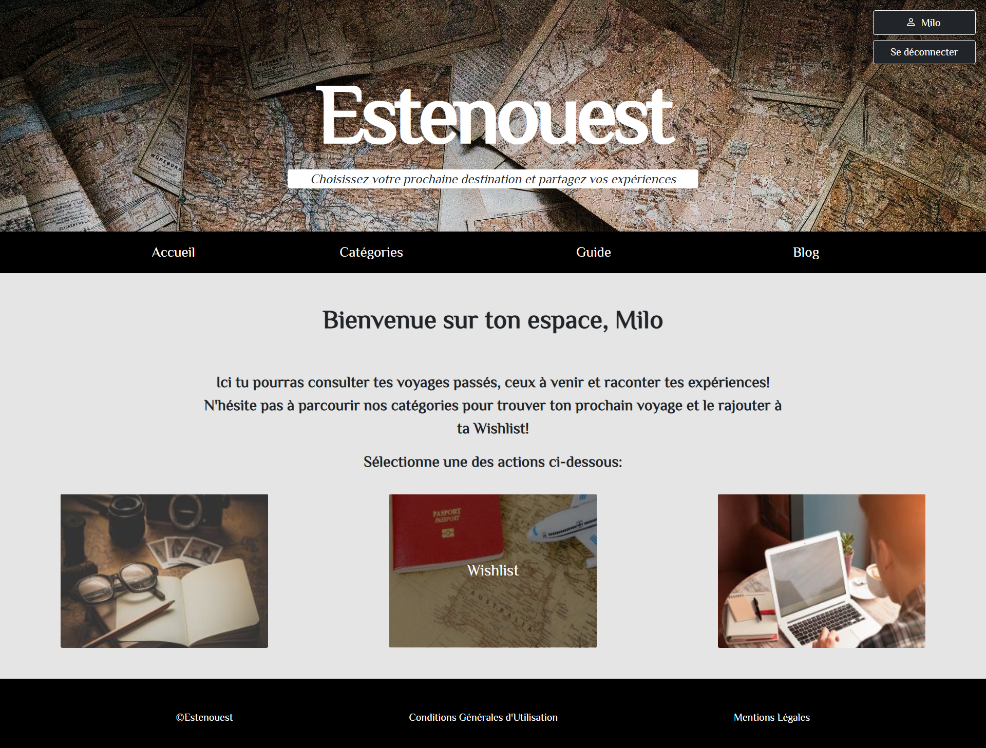 GitHub - Dennisburki/projetPro: Site d'aide a la décision au voyage, avec multiples ...