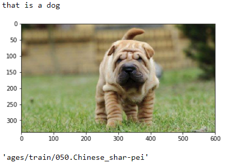 GitHub - memoelsamadony/Dog_Identification_Program