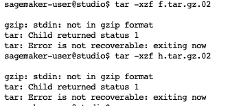 Issue with untaring .02 files · Issue #7 · furkanbiten/idl_data · GitHub