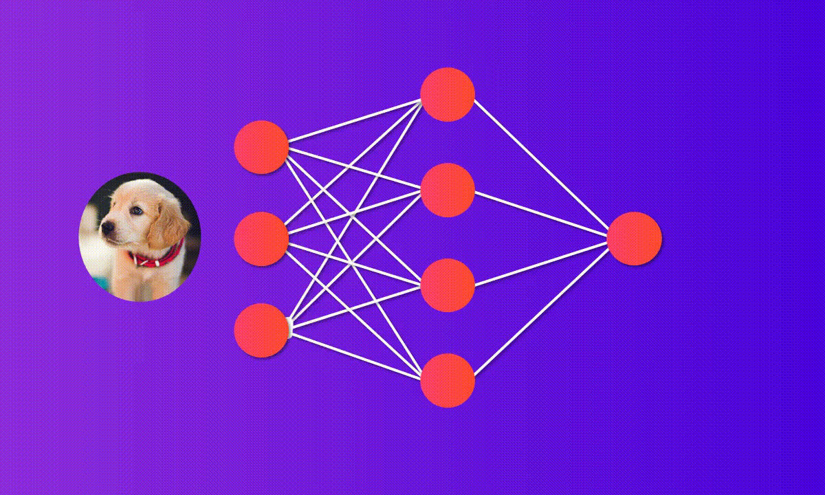 ShivamTOfficial (Shivam Tyagi) · GitHub