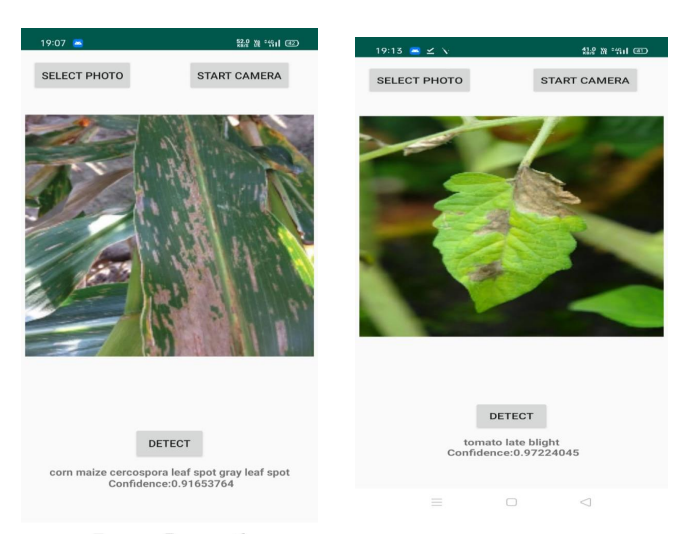 GitHub - Roshankrshah/Plant-Disease-Detector-App