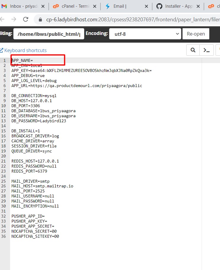 Installer Application Name Issue · Issue 1876 · Ladybirdwebagora Invoicing Community · Github 