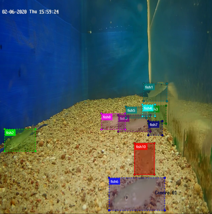 GitHub - shreesha-sur/Sillago-Sihama-Vid: An extensive dataset for fish behaviour analysis via ...