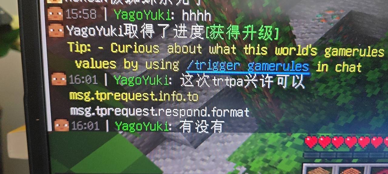 发送的消息不是中文 · Issue #1 · Nova-Committee/TeleportationRequest · GitHub