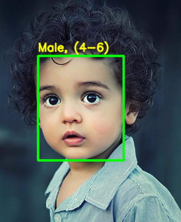 GitHub - Pranaya42/Age-and-Gender-recognition