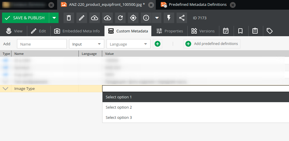 Implement Keyvalue Pair For Predefined Asset Metadata Fields Of Type