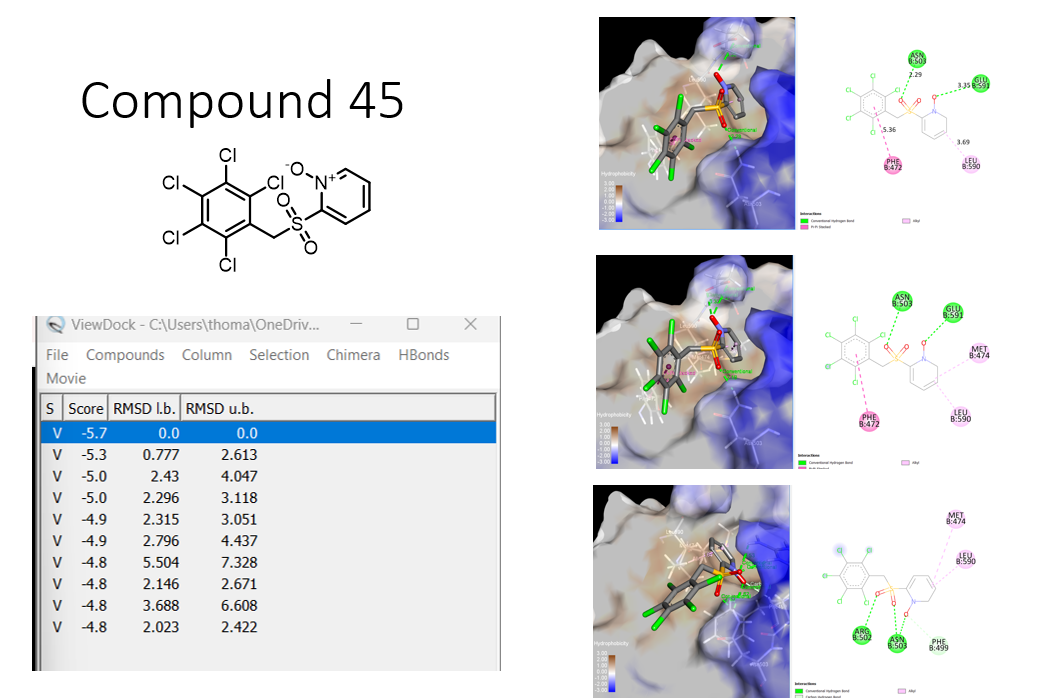 Utility of N-oxides in Antiviral Compounds? · Issue #38 · StructuralGenomicsConsortium/CNP4 ...