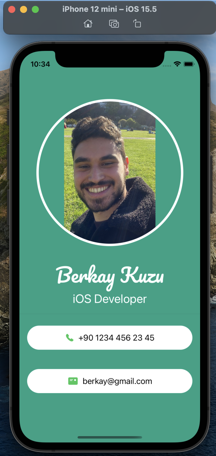 GitHub - Berkay-Kuzu/BerkayCard-SwiftUI