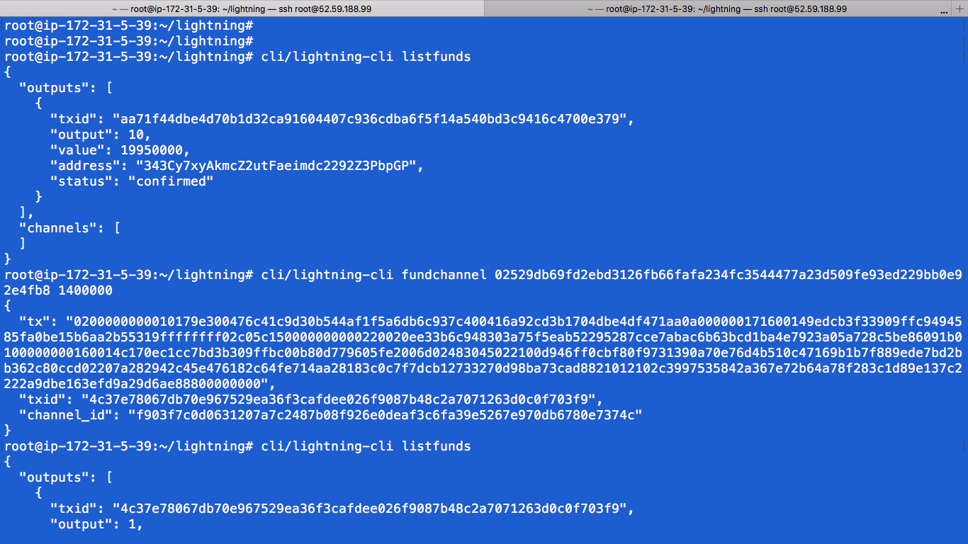 Missing Funds · Issue #1720 · ElementsProject/lightning · GitHub