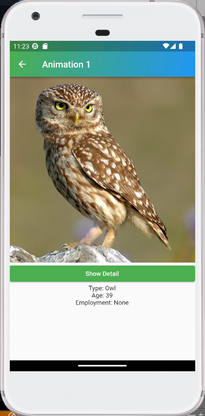 GitHub - DIOAPRIANSYAH/flutter_animation