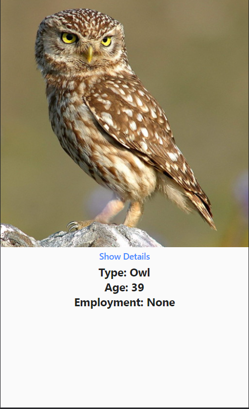 GitHub - JafarMalikIbrahim/flutter_animation