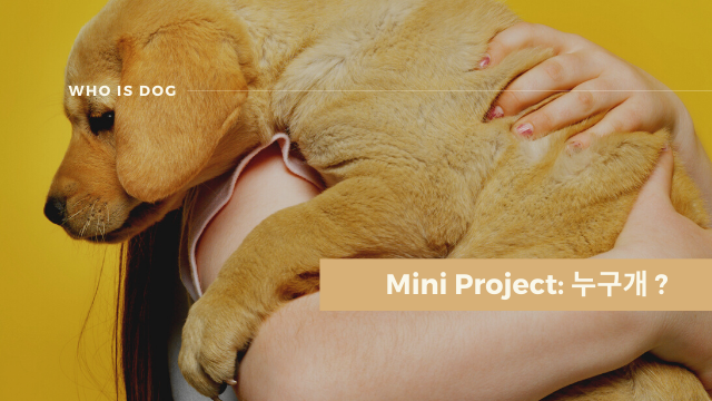 GitHub - YYZA/sparta-miniproject