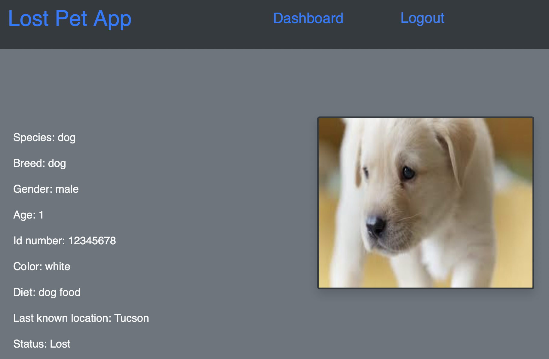 GitHub - MirandaL27/lost-pet-app