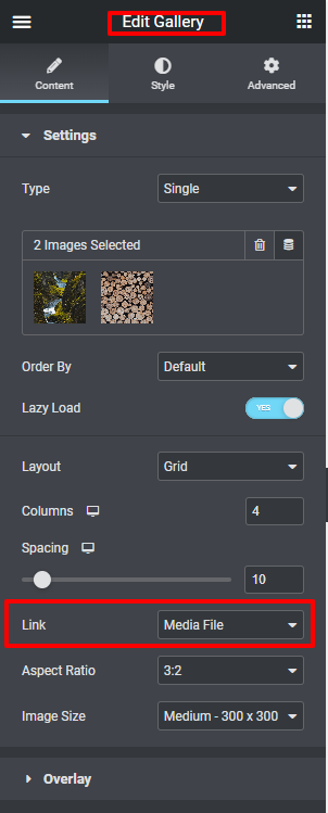 🔗 🐞 Bug Report: Elementor Pro Gallery Lightbox Still Showing After Disabling Lightbox From The ...