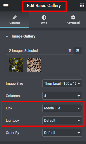 🔗 🐞 Bug Report: Elementor Pro Gallery Lightbox Still Showing After Disabling Lightbox From The ...