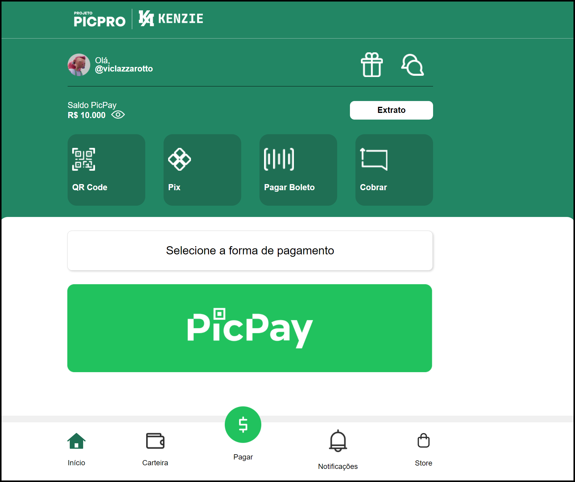 GitHub - viclazzarotto/PicPro