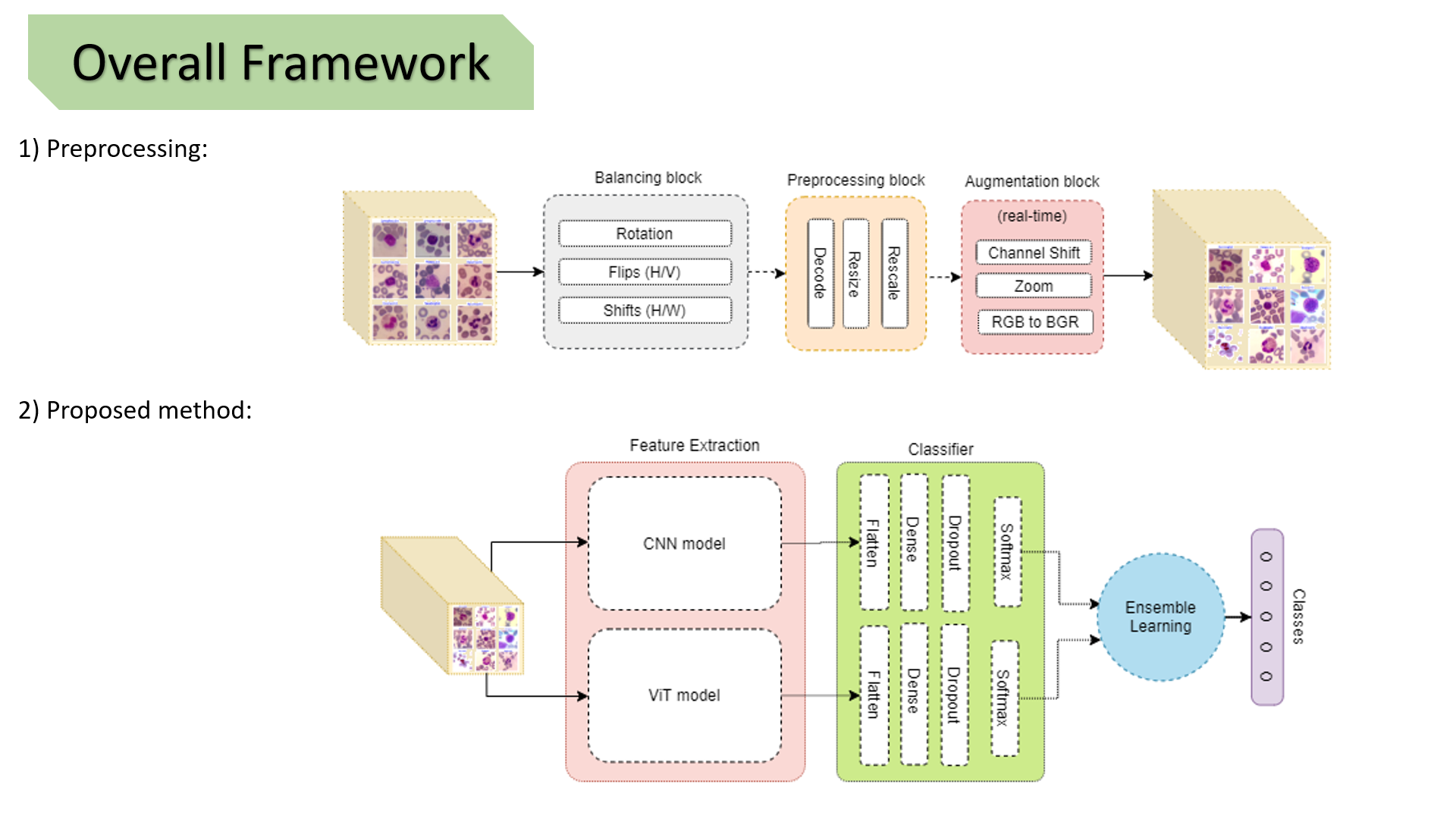 GitHub - MAmirEshraghi/WBC-Classification-App: Ensemble deep learning-based white blood cells ...