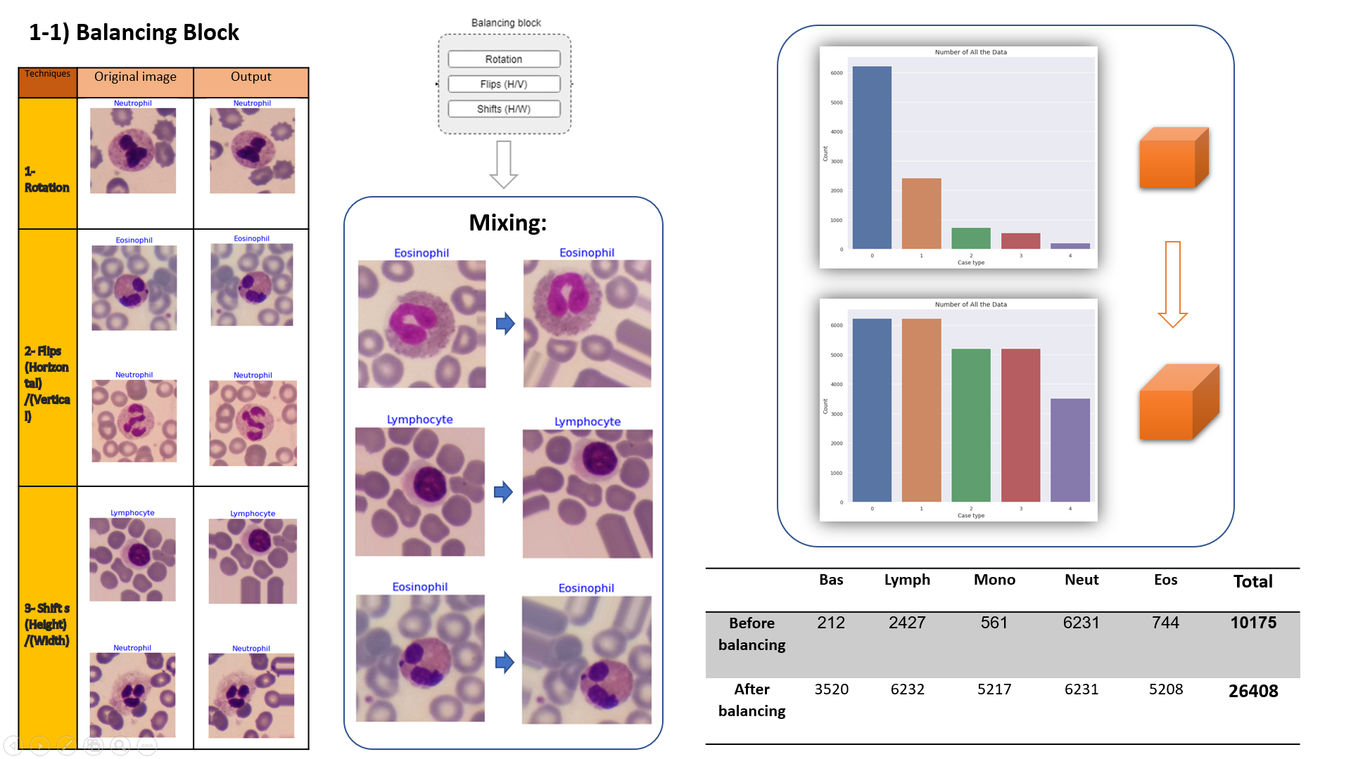 GitHub - MAmirEshraghi/WBC-Classification-App: Ensemble deep learning-based white blood cells ...