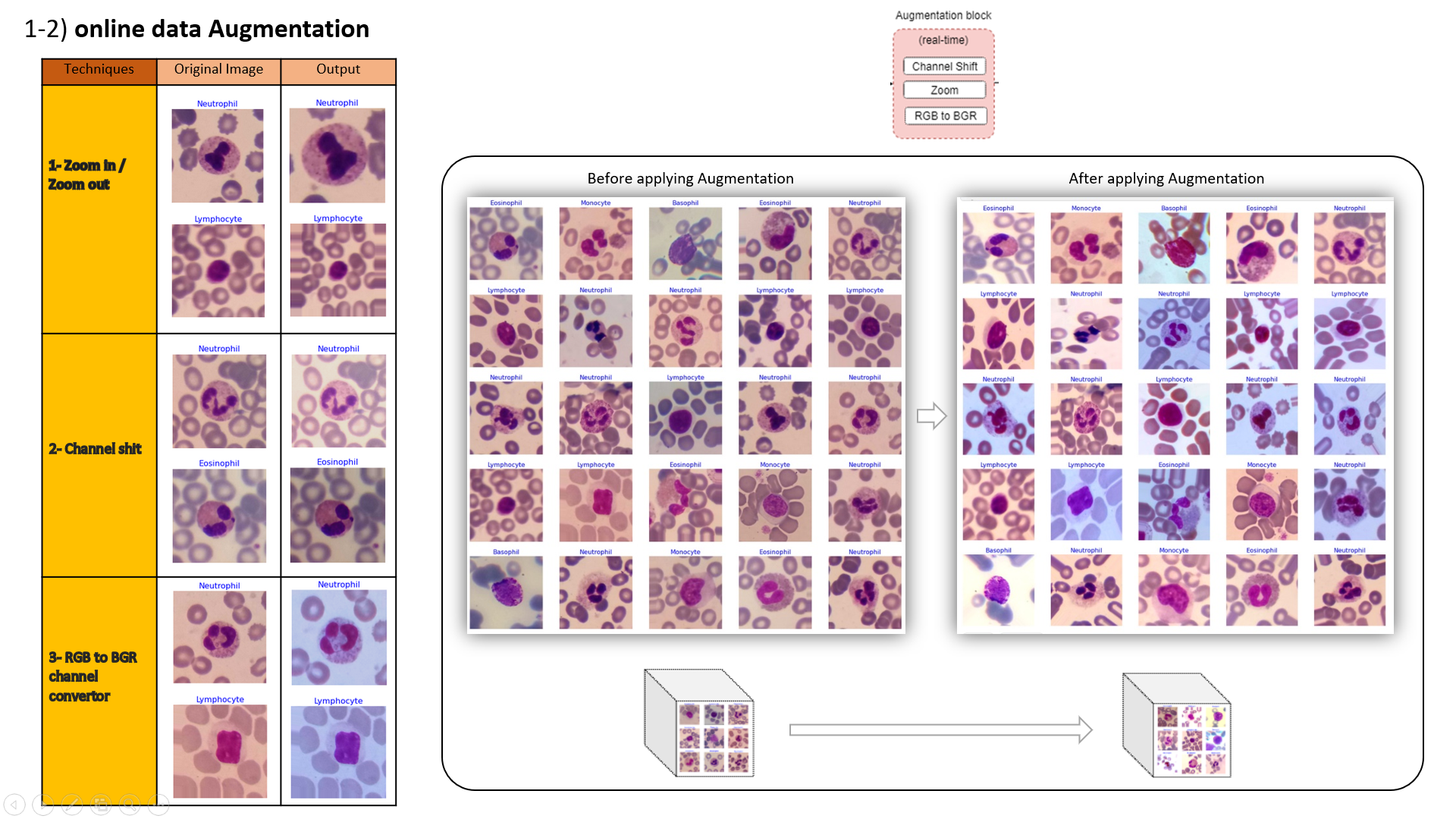 GitHub - MAmirEshraghi/WBC-Classification-App: Ensemble deep learning-based white blood cells ...