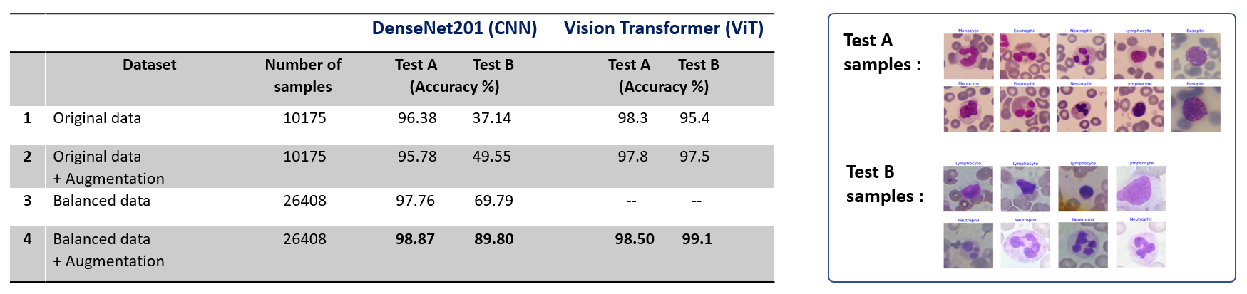 GitHub - MAmirEshraghi/WBC-Classification-App: Ensemble deep learning-based white blood cells ...