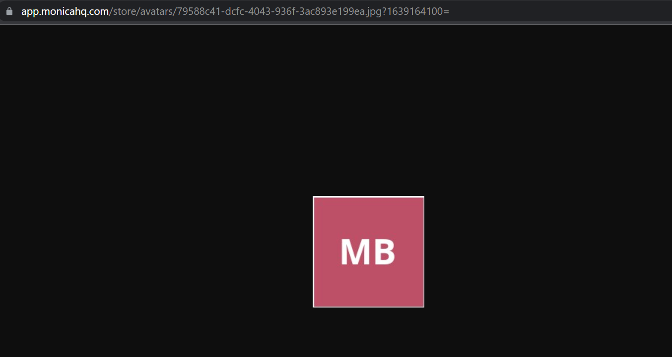 You can add any file extension as avatar · Issue #5857 · monicahq ...