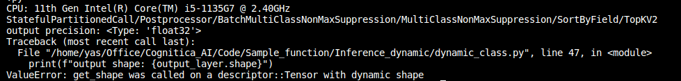 Error converting shape to a TensorShape: Failed to convert 'masked_array(data=[1, --, --, 3 ...