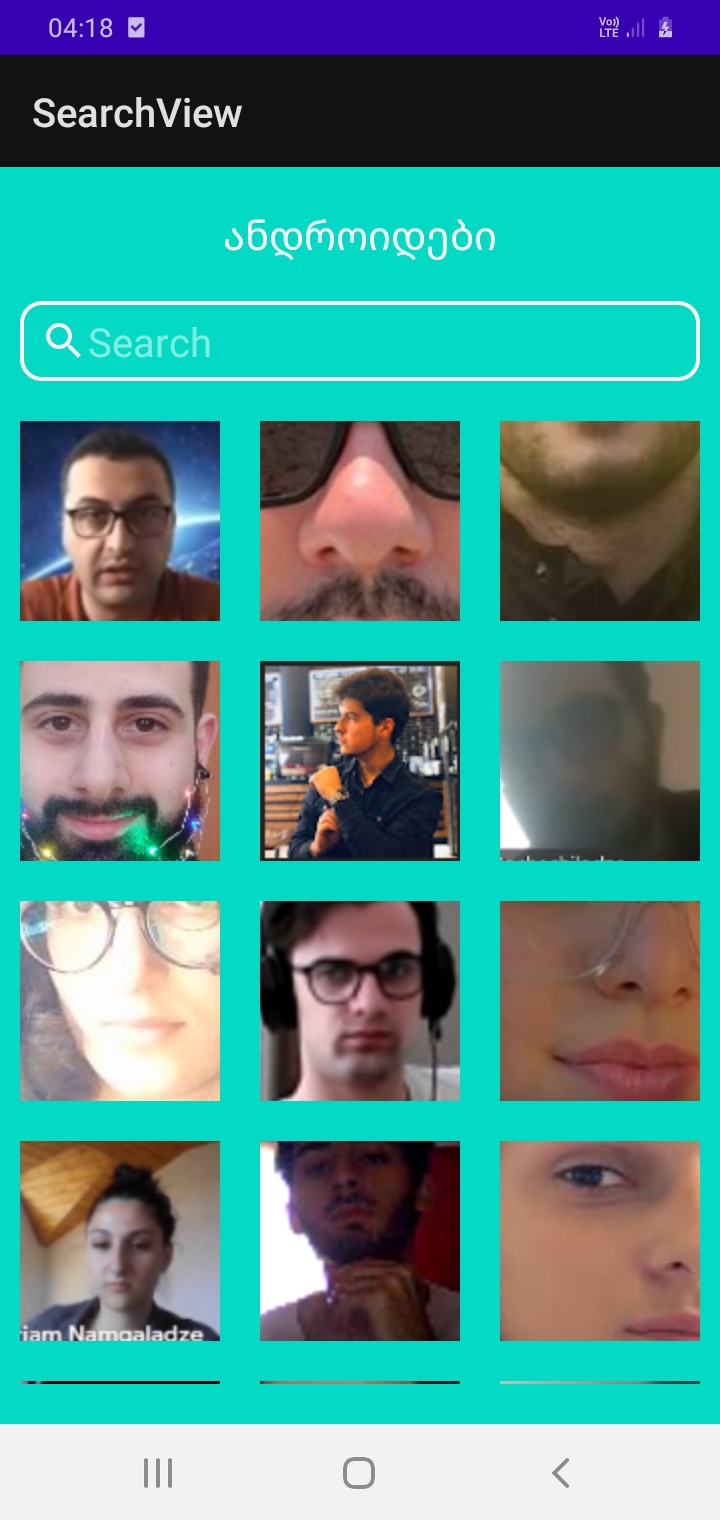 GitHub - Baiaasana/SearchView