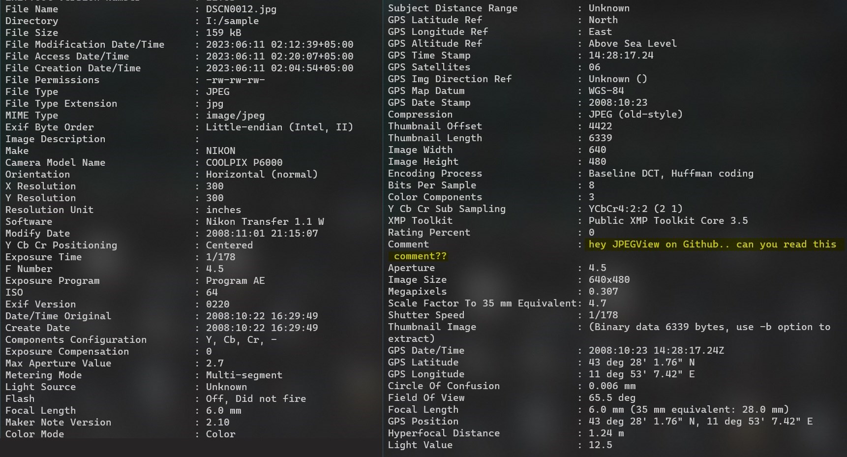 JPEGView not displaying all the embedded metadata in JPEGs · Issue #207 · sylikc/jpegview · GitHub