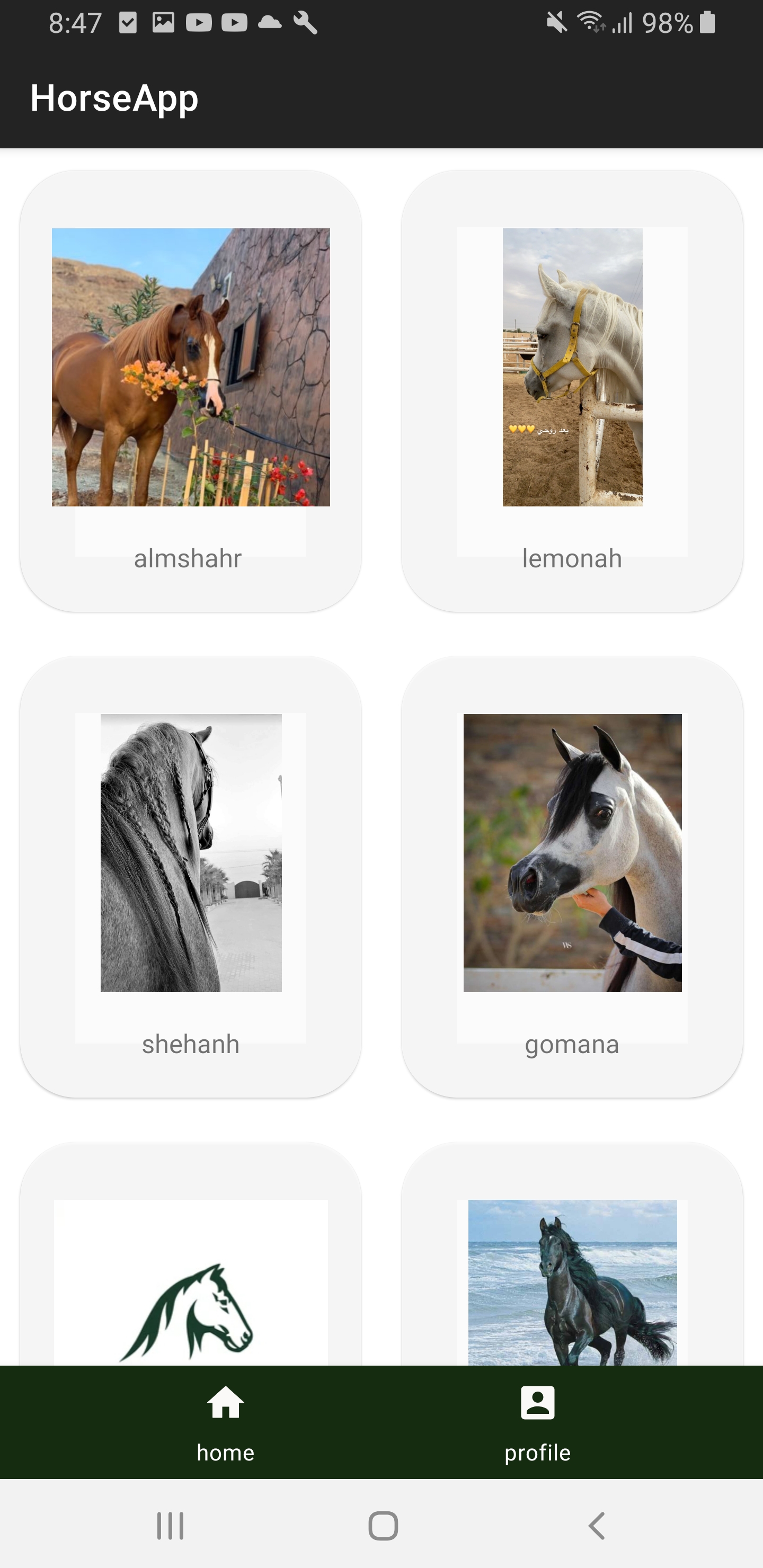 Github Hessahalkhalaf Horseapp Horse App