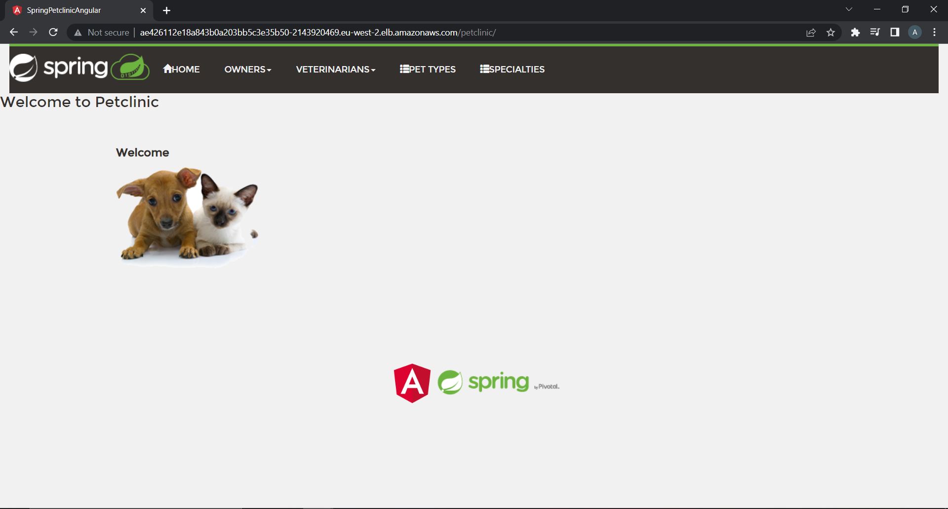 GitHub - anassumrani/groupproject