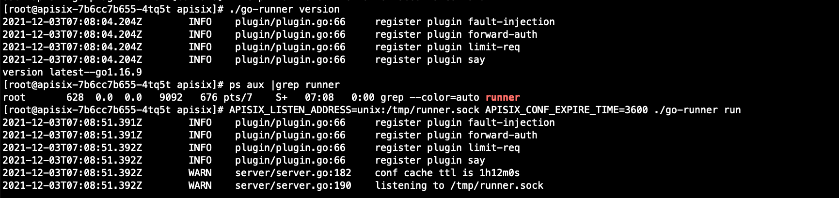 request help: go-plugin-runner error after starting in debug mode · Issue #5708 · apache/apisix ...
