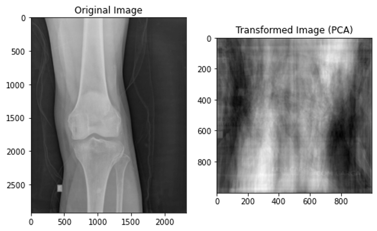 GitHub - SGPracing/Project_Xray_UNIFESP