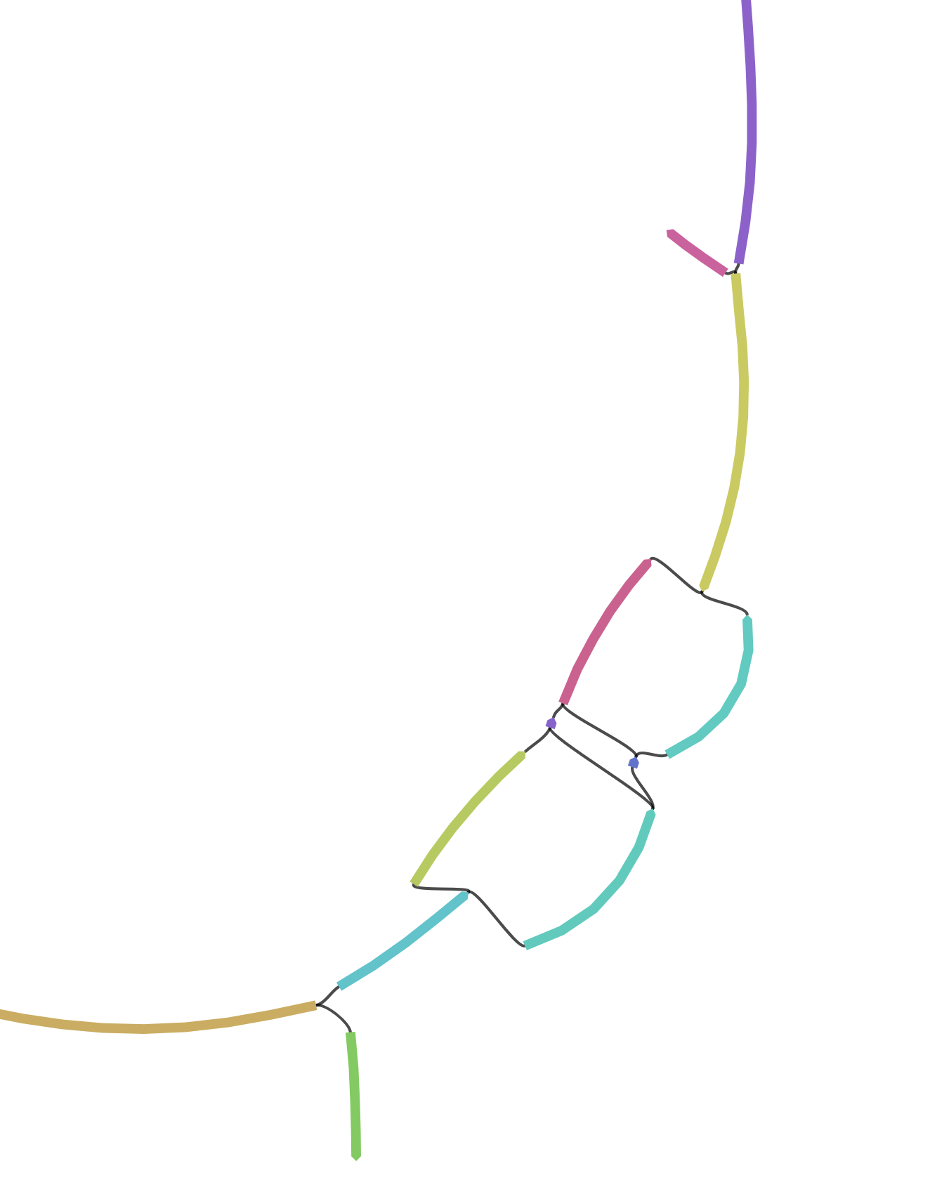 Tips and unpopped bubbles after bubble popping on HG002 · Issue #8 · marbl/verkko · GitHub