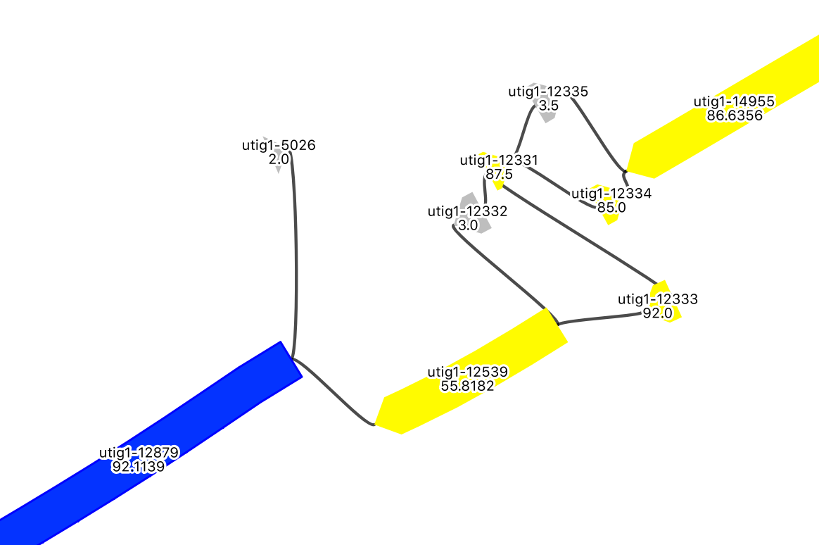 Connected component disconnected in ONT graph · Issue #41 · marbl/verkko · GitHub