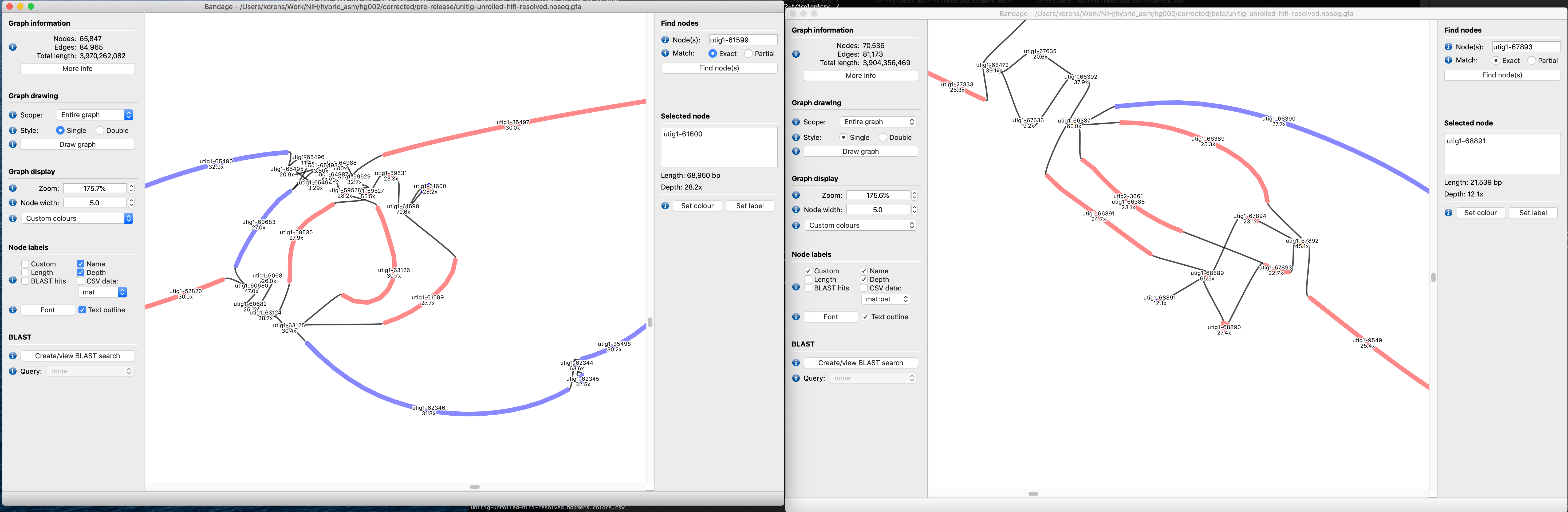 Disconnected haplotype with beta, was connected before · Issue #44 · marbl/verkko · GitHub
