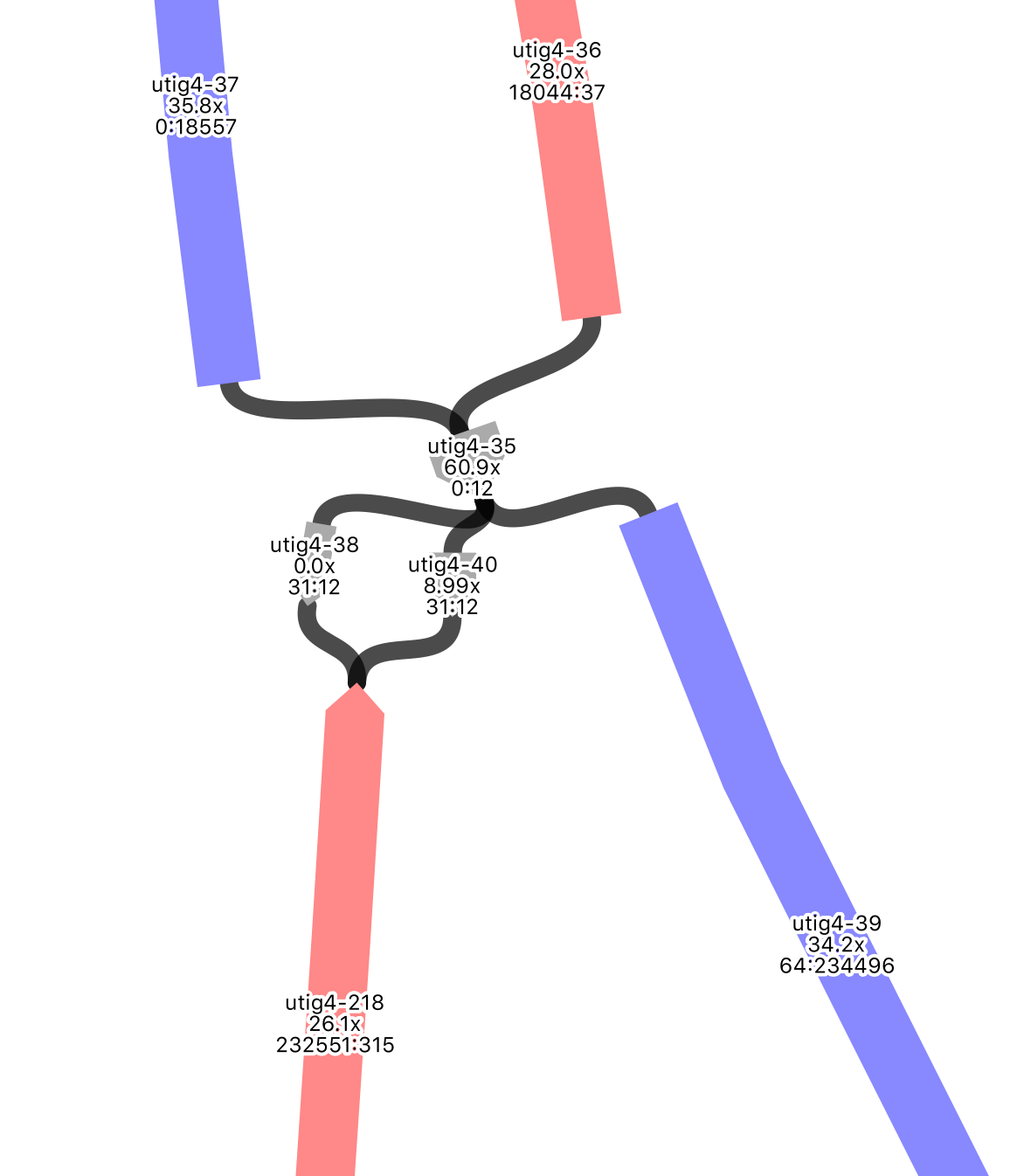 Remaining unpopped bubbles · Issue #47 · marbl/verkko · GitHub