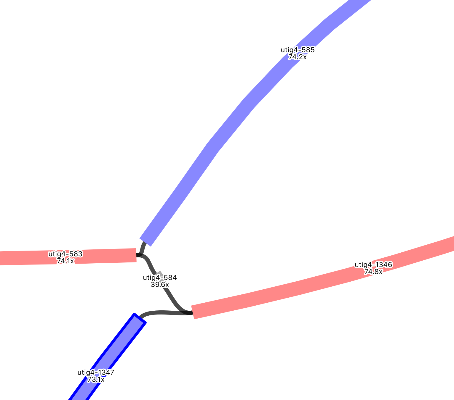 Gaps introduced in hapcut branch · Issue #81 · marbl/verkko · GitHub