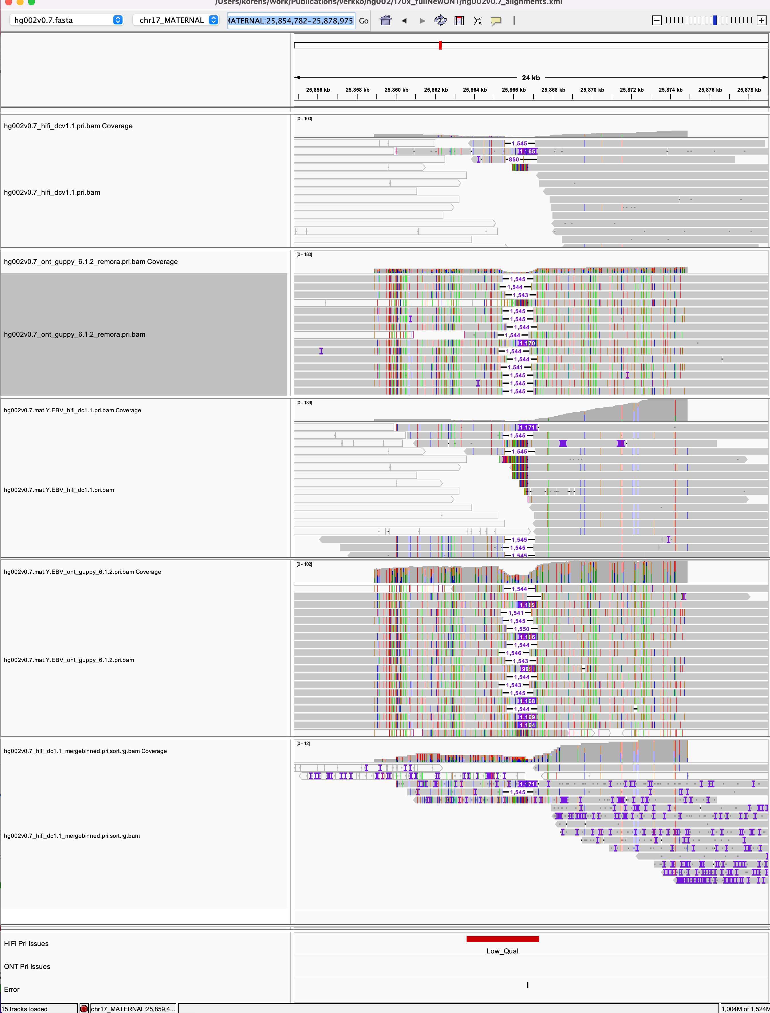 Issue: chr17_MATERNAL:25801773-25802298 · Issue #239 · marbl/HG002-issues · GitHub