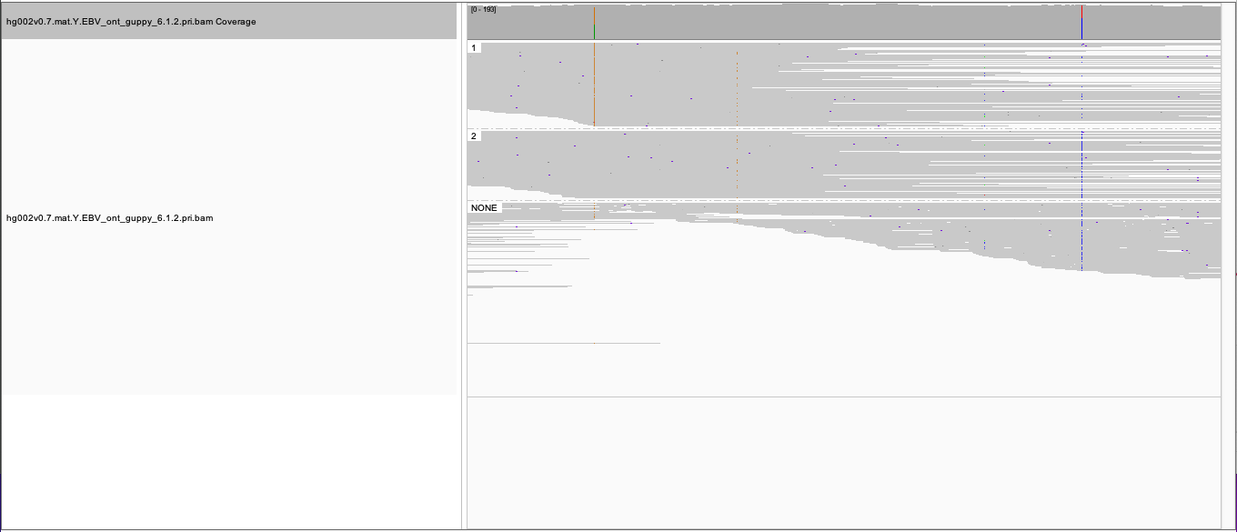 Issue: chr12_MATERNAL:80226830-80244525 · Issue #383 · marbl/HG002-issues · GitHub